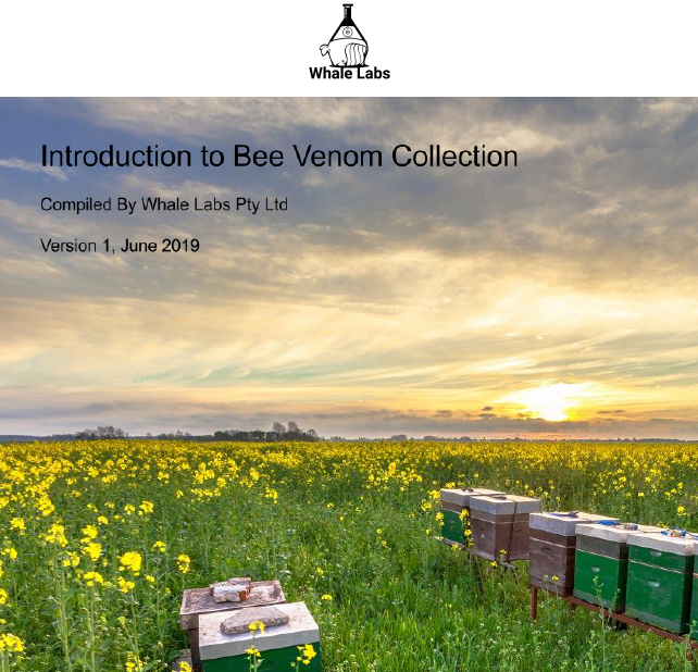 Introduction to Bee Venom Collection – A guide – Whale Labs Pty Ltd